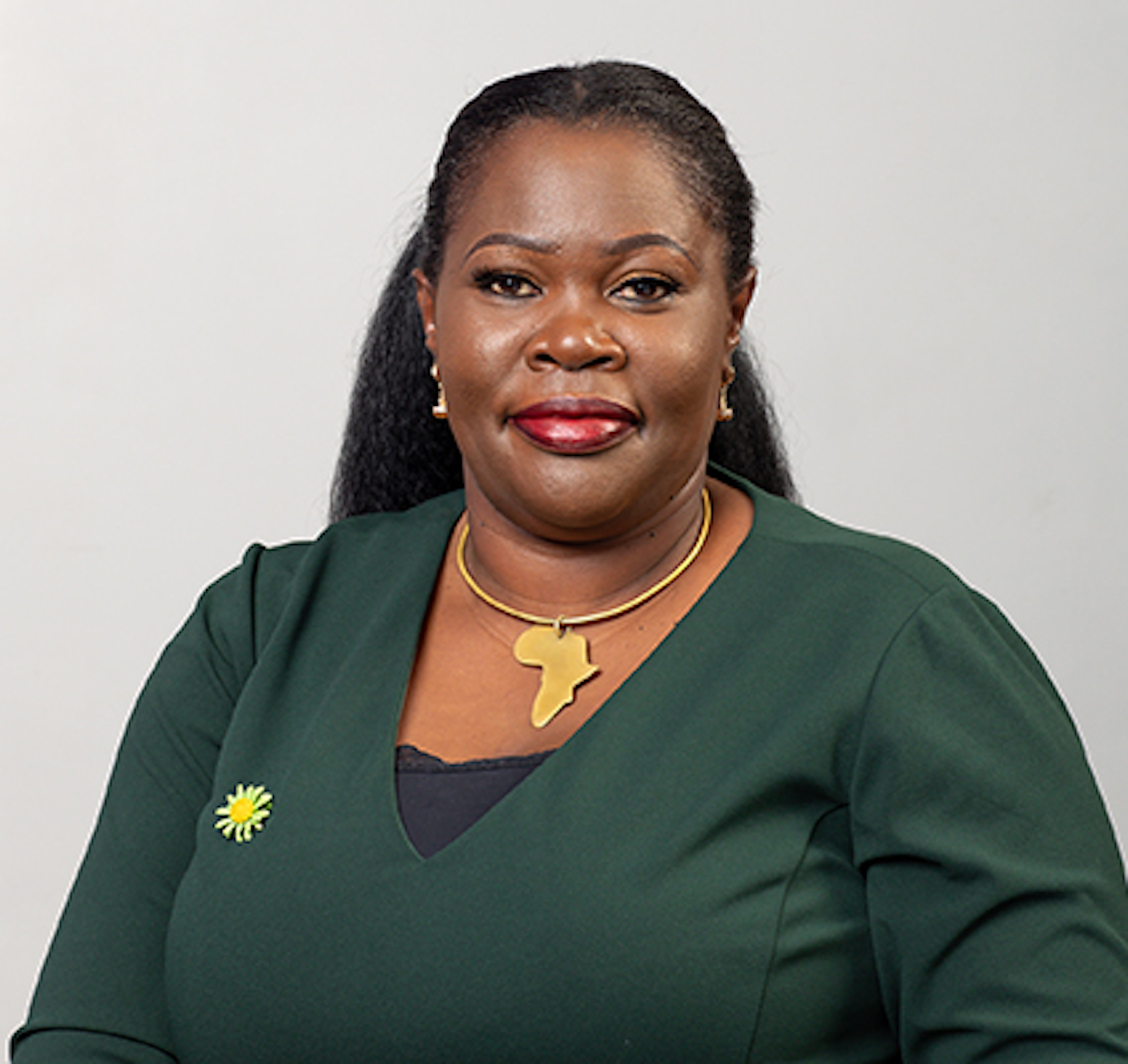 Sustainability Roadmap - ICPAK